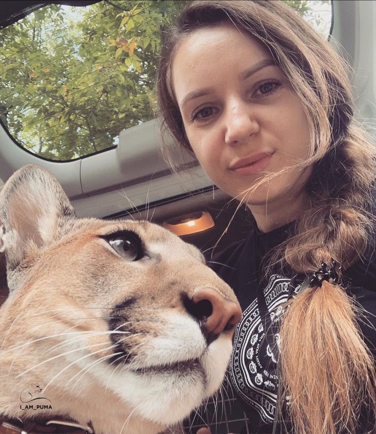 Couple Shares Their Studio Flat With A Puma Named "Messi"