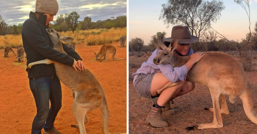 Rescued Kangaroo Loves To Hug The Rescuers Who Saved Her Life