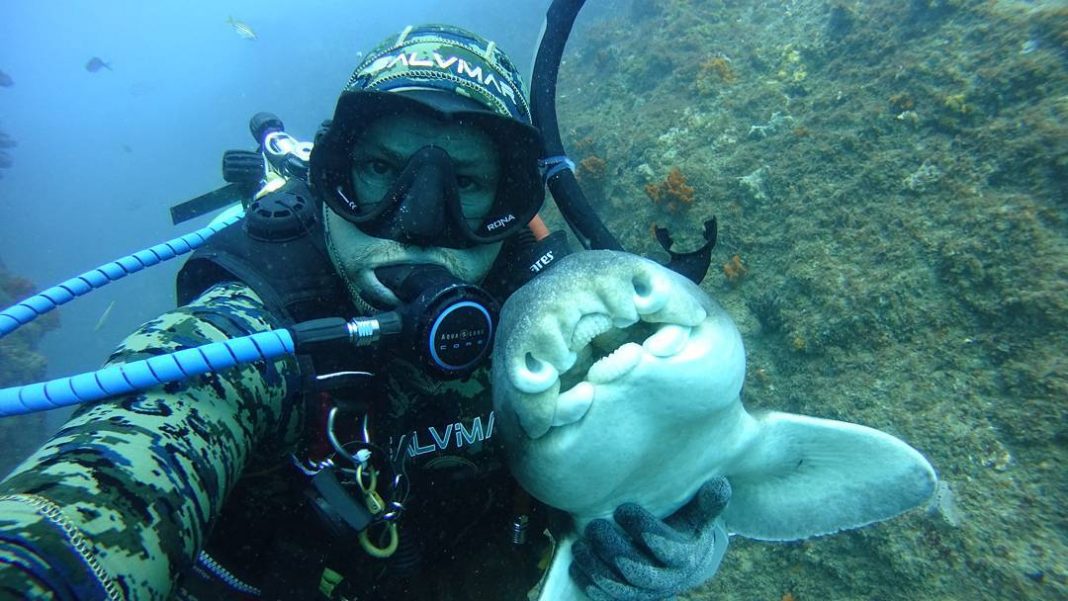 Shark Swims Up To Diver For a Cuddle Whenever He Goes Diving