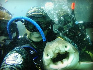 Shark Swims Up To Diver For a Cuddle Whenever He Goes Diving