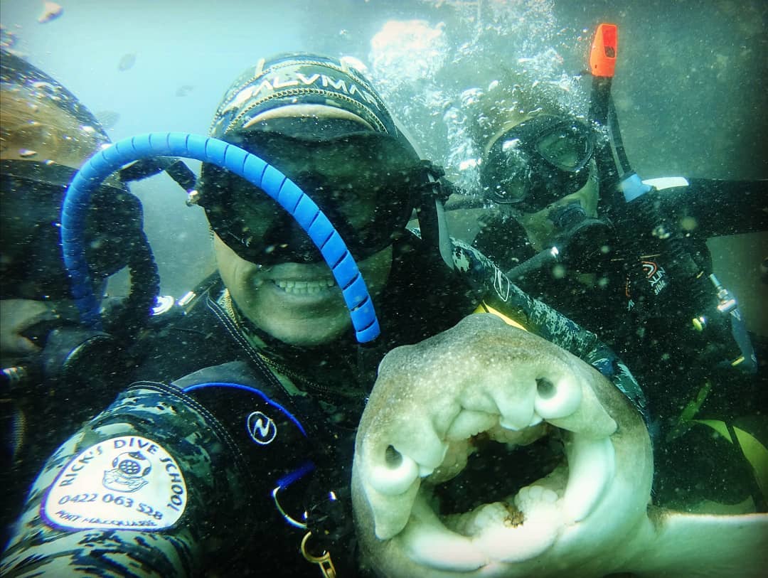 Shark Swims Up To Diver For a Cuddle Whenever He Goes Diving