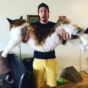 Meet Samson - The Largest Cat In NYC Who Weighs 28 Lbs